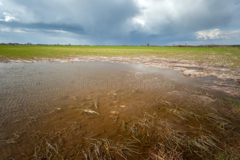 Water Puddle on Farmland and Cloudy Sky Stock Photo - Image of season ...