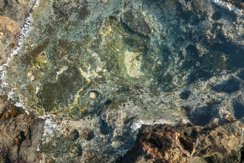 Water Puddle and Rock Texture at the Ocean Coast Stock Photo - Image of ...
