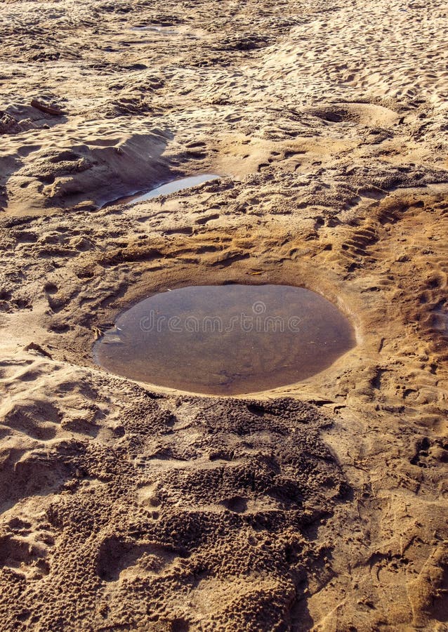 Water Puddle in a Sand Dune River Bank Stock Photo - Image of desert ...