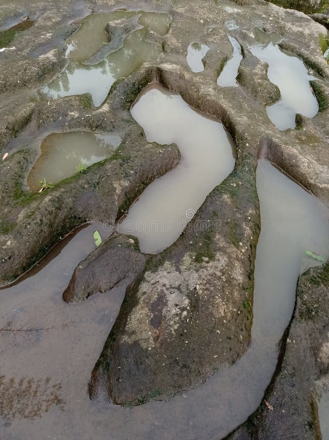 Realistic Wet Paint Splatter Stock Photos - Free & Royalty-Free Stock ...