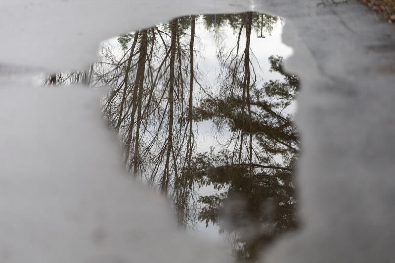 Water puddle stock image. Image of water, puddle, blur - 209806793