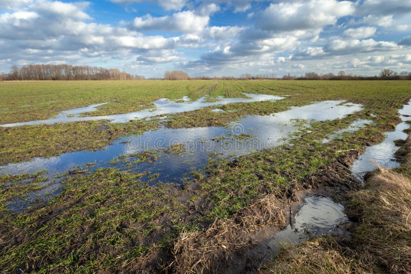 Water Puddles on a Rural Field and Clouds in the Sky Stock Image ...