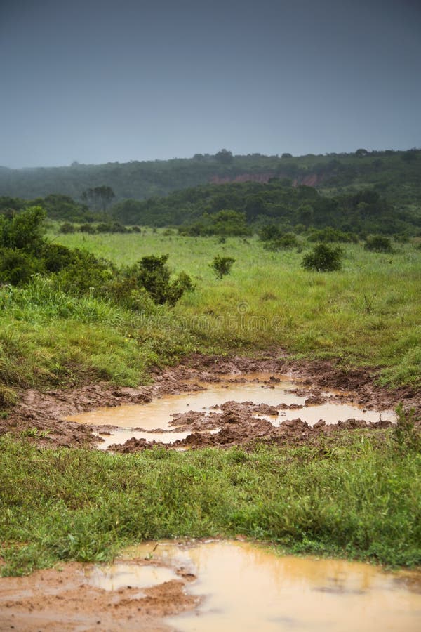 Water in Puddles on the Sand in the Desert Stock Image - Image of ...