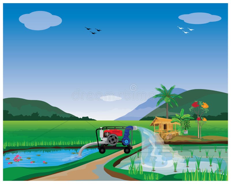 Water Pump Machine in Paddy Field Stock Vector - Illustration of large ...