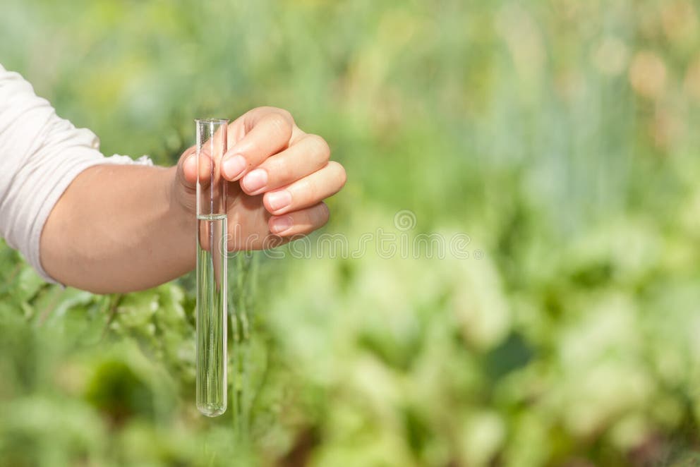Water Purity Test stock photo. Image of hold, concept - 33763426