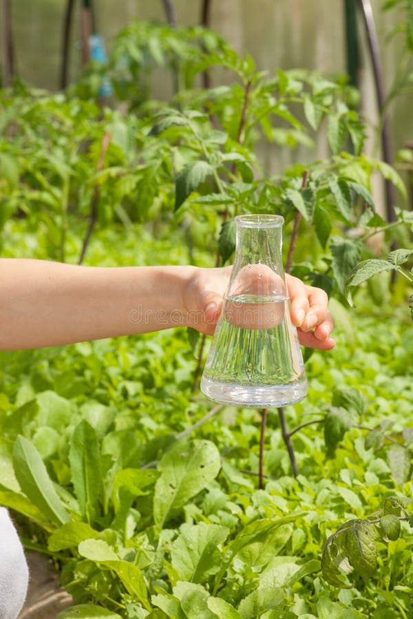 Water Purity Test, Liquid in Laboratory Glassware Stock Photo - Image ...