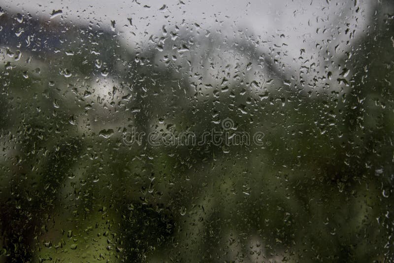 Water, Rain, Atmosphere, Vegetation Stock Photo - Image of forest ...