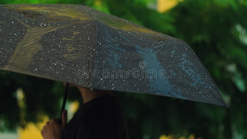 Water Rain Drops Falling on Black Umbrella. Cloudy Rainy Season with ...