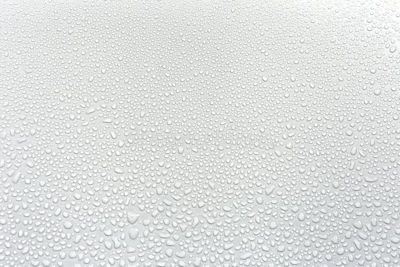 Water Rain Drops Isolated on White Stock Photo - Image of freshness ...