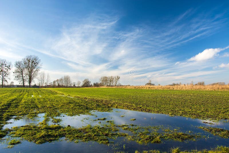 Water after Rain on a Green Field and Clouds on a Blue Sky Stock Image ...