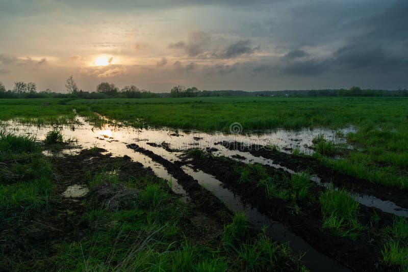 Water after a Rainstorm in the Meadow and the Evening Cloudy Sky Stock ...