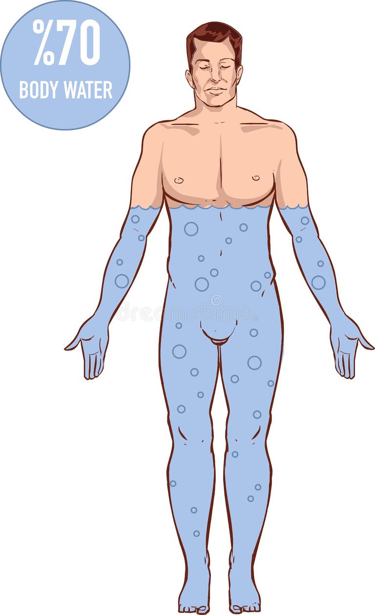 Human Body Water Stock Illustrations – 12,075 Human Body Water Stock ...