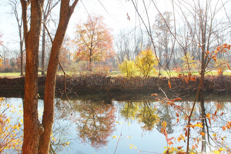 Water Reflect Fall Colored Leaves Tree Stock Image - Image of colorful ...