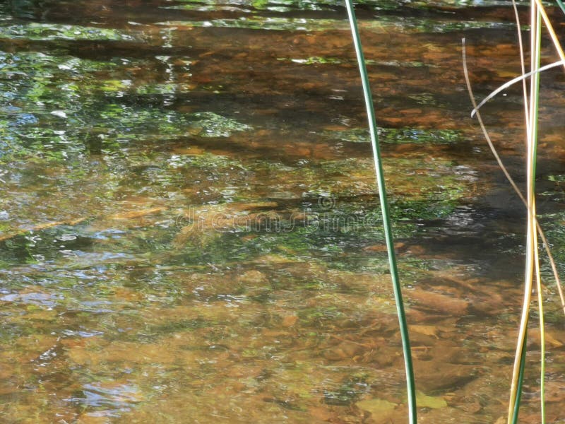 Water reflected shadows stock image. Image of summer - 168652307