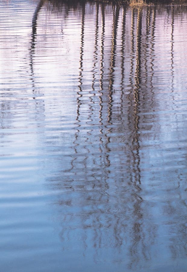 Water stock image. Image of reflector, color, outdoors - 81531279