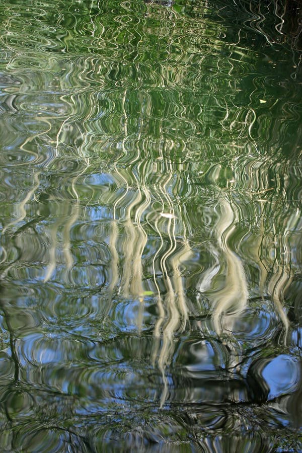 Water reflection stock image. Image of plants, detailed - 52401461
