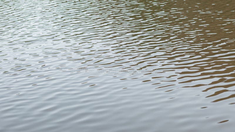 Water Reflection on a Lake. Stock Image - Image of nature, reflection ...