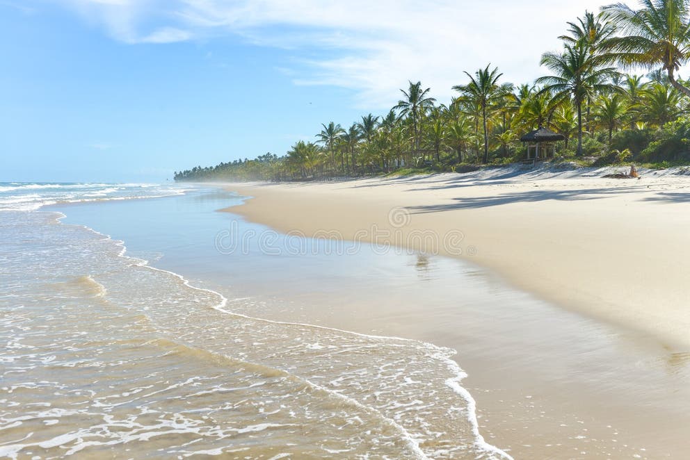 Water Reflection on a Large Sand Beach Stock Photo - Image of coastal ...