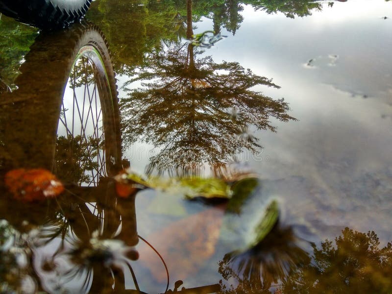 Water Reflections Create Beautiful Shadows Stock Photo - Image of ...