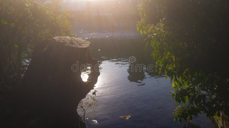 Water Reflection and Nature Stock Photo - Image of morning, autumn ...