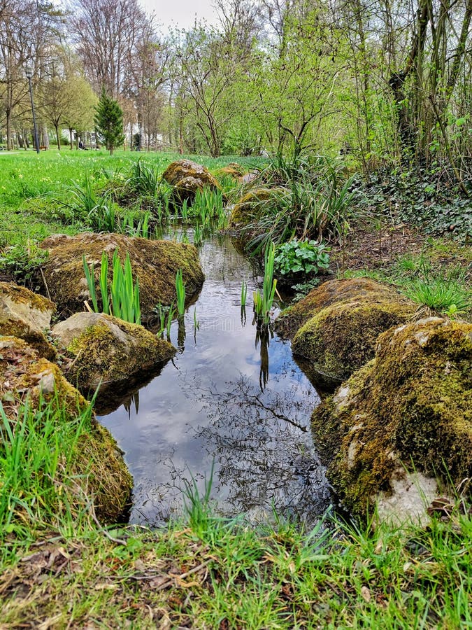 Water Reflection Park Spring Bavaria Stock Photo - Image of reflection ...