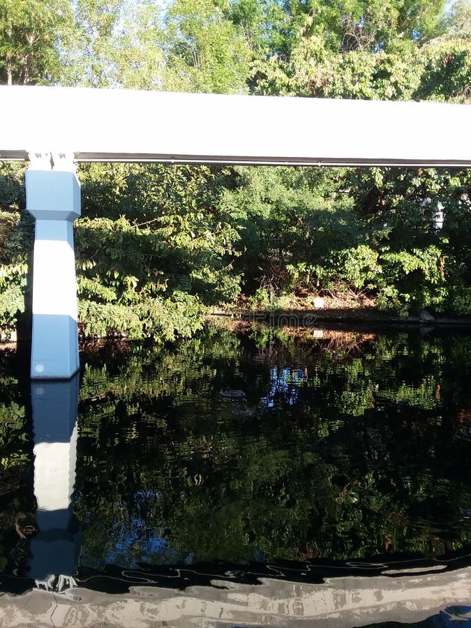 Water reflection in a park stock image. Image of water - 96627923
