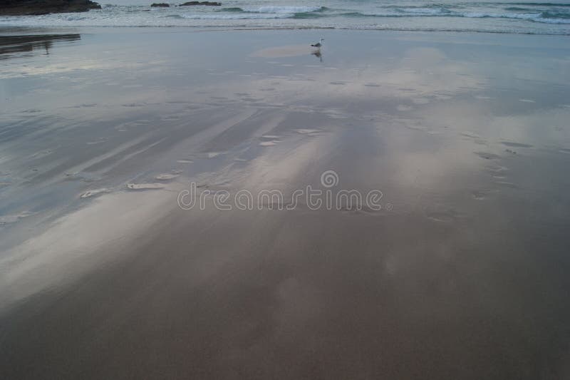 Water Reflection stock photo. Image of beach, sunlight - 82754828