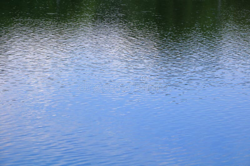 Water Reflection with Shadow Tree and Sky in Public Park Stock Image ...