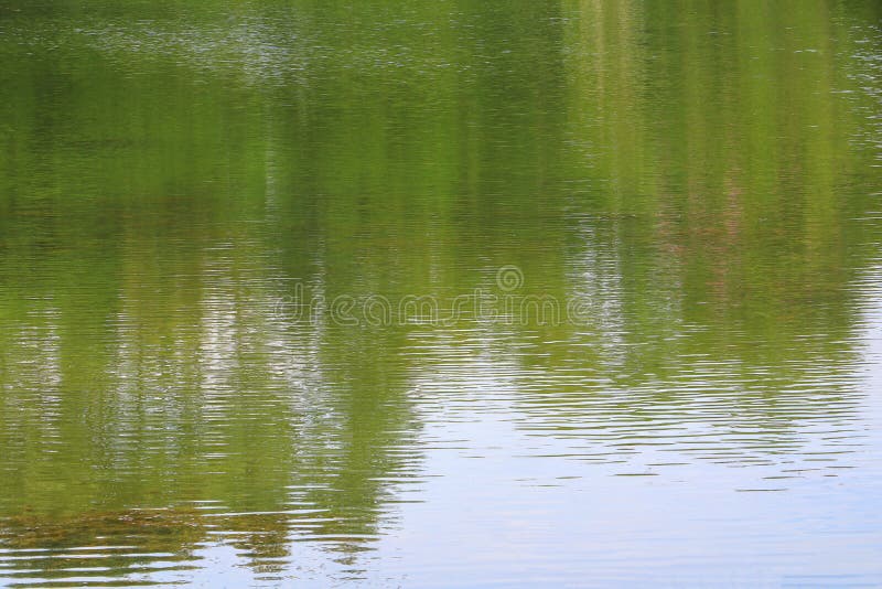Water Reflection with Shadow Tree and Sky in Public Park Stock Photo ...