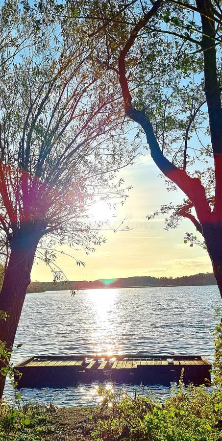 Water Reflection Sinshine Flaoting Trees Stock Photo - Image of ...
