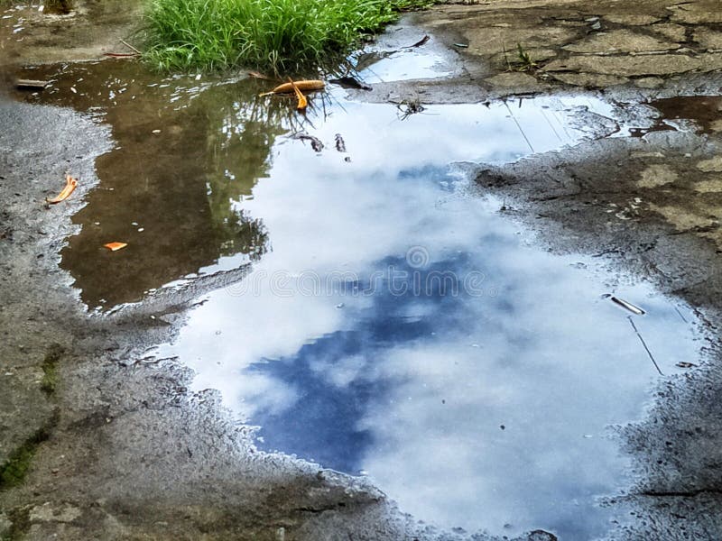Stream in Rain Forest, Costa Rica Stock Photo - Image of trees ...