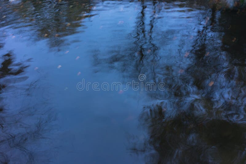 Water Reflection, Tree Mirrored in Pond Stock Image - Image of blue ...