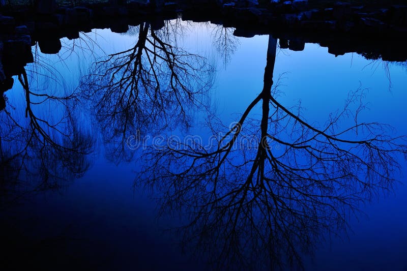 Water Reflection of Trees stock photo. Image of abstract - 28428052