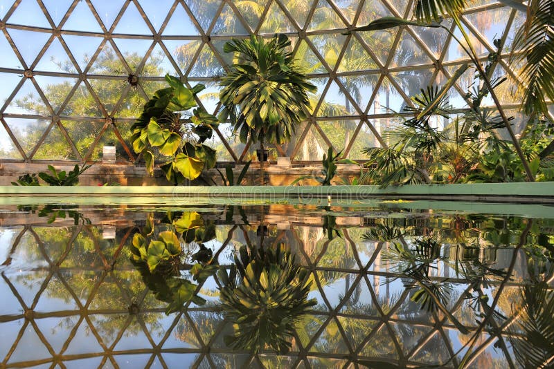 Water Reflection in the Tropical Dome Stock Image - Image of queensland ...