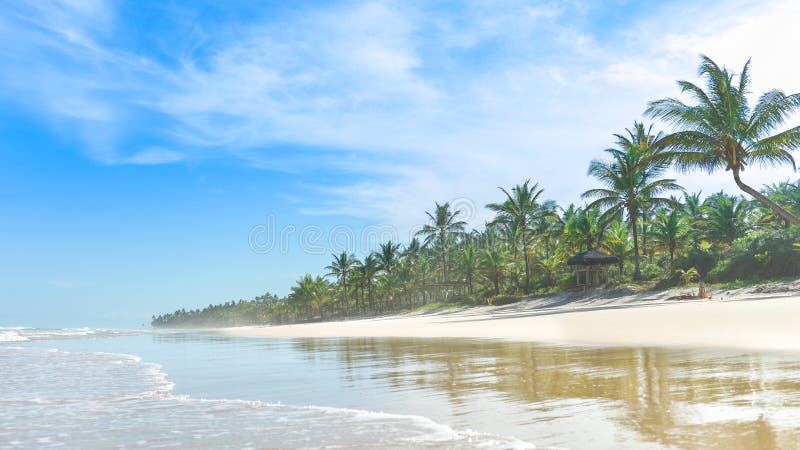 Water Reflection on a Large Sand Beach Stock Photo - Image of freedom ...