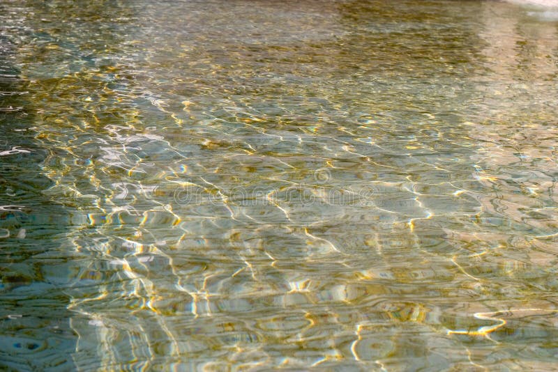 Water reflections stock image. Image of pool, water, seaweed - 915715
