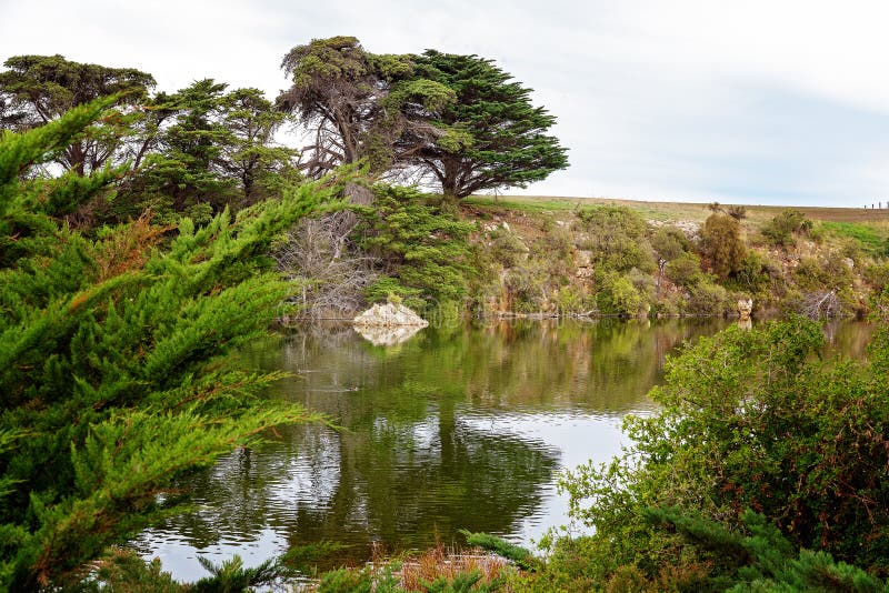 Water Reflections on Australia`s Hopkins River Stock Photo - Image of ...