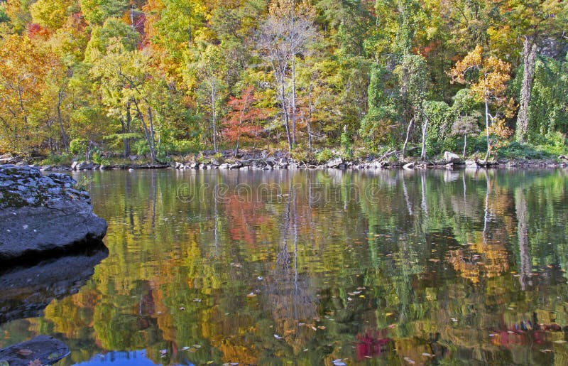 Water Reflections of Fall Leaves in the Smokies. Stock Photo - Image of ...