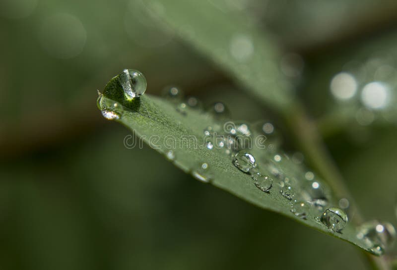 Reflections of raindrops stock image. Image of rain - 182392415