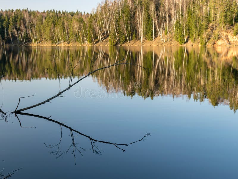 Water Reflections of Trees, Early Spring Landscape, with Reflection on ...
