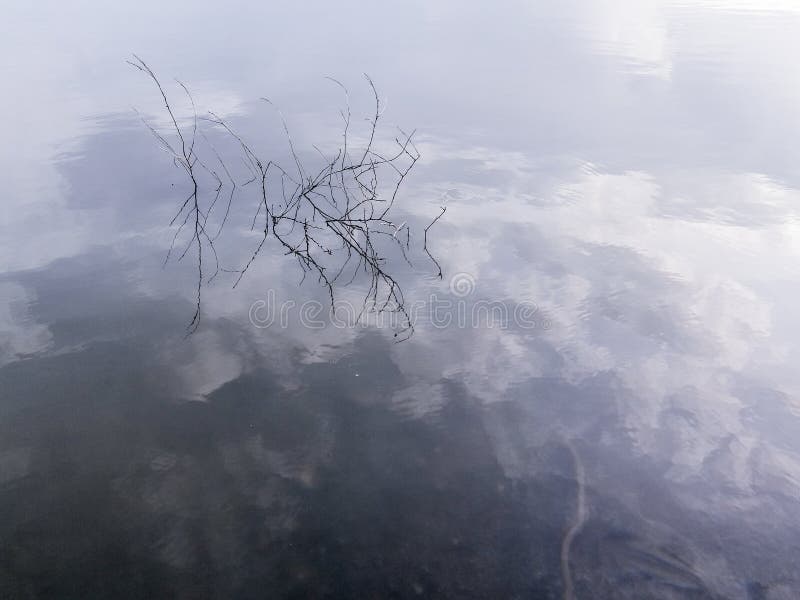 Water Reflects the Sky with Branch Stock Photo - Image of reflections ...