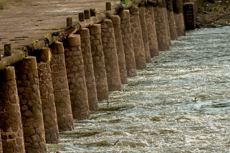 Water Released from Check Dam Stock Image - Image of trunk, tree: 331152027