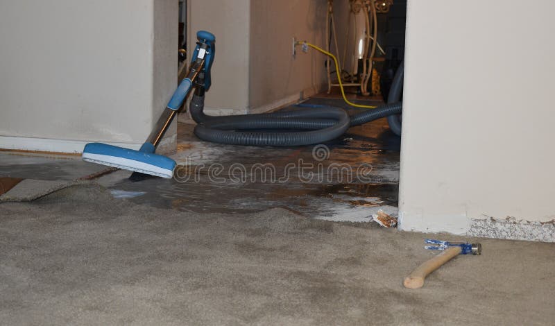 Water Removal and Restoration Equipment Stock Photo - Image of light ...