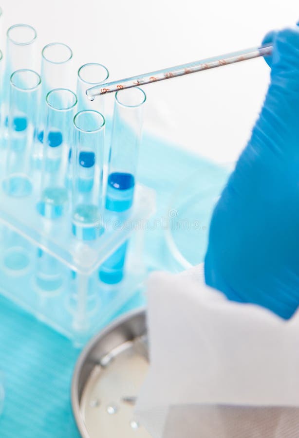 Water Research in the Laboratory. Selective Focus Stock Photo - Image ...