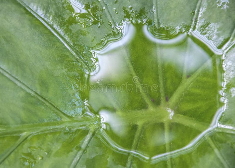 Water reserve stock photo. Image of drop, natural, preserve - 27424806