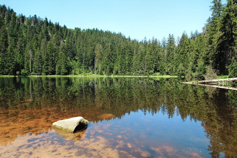 Water Reservoir Lake at the Black Forest, Germany Stock Image - Image ...