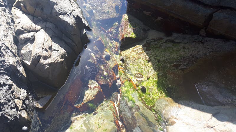 Rock Pool stock image. Image of rocks, pool, rock, water - 131728109