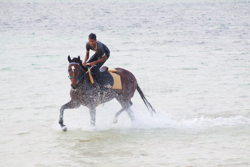 Water riding editorial stock photo. Image of mauritius - 19023233