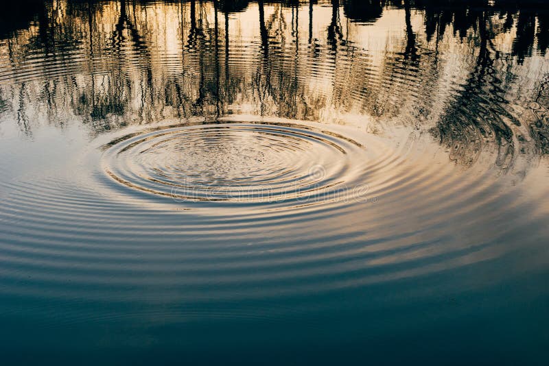 Rings on a Water Surface Caused by a Falling Drops. Spa Concept Stock ...