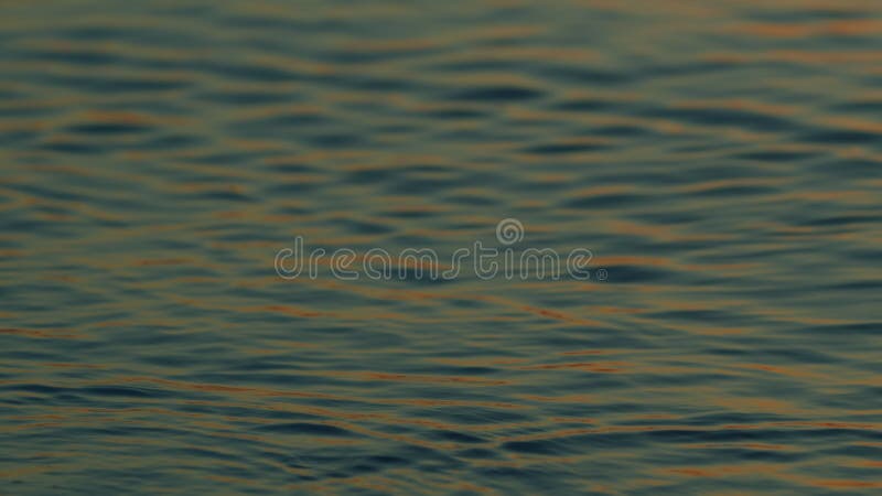 Water Ripple Background Texture. Sunlight Reflect on Water Surface ...